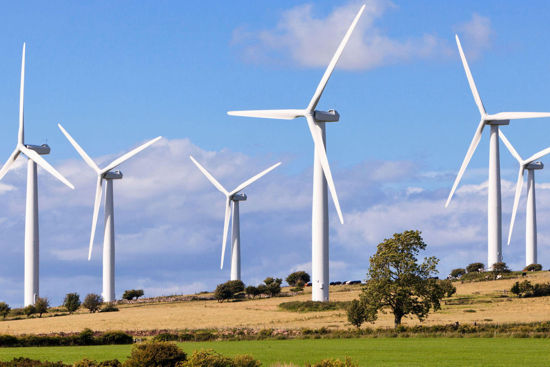 Renewable Energy Software - Fieldmotion